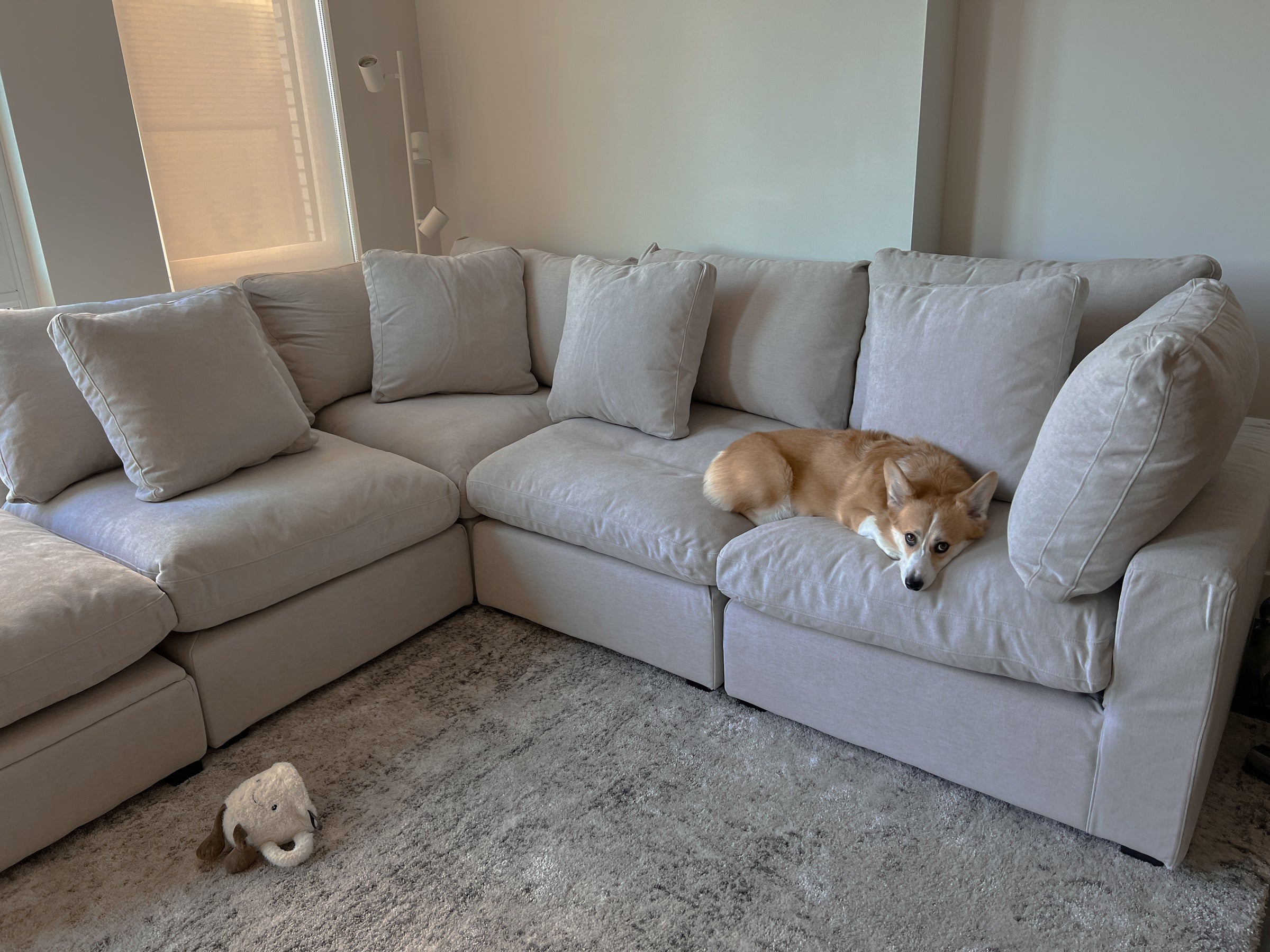 Custom Modular Sofas & Sectionals | CouchHaus